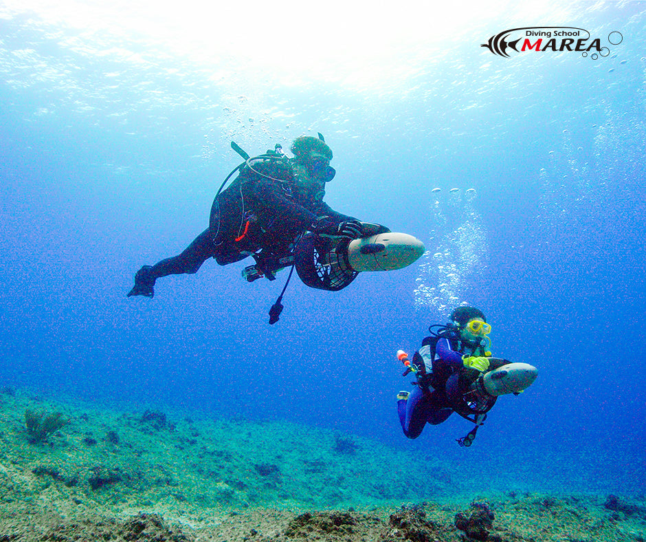 PADIスペシャルティ回数券（40枚セット） – MAREA ONLINE STORE